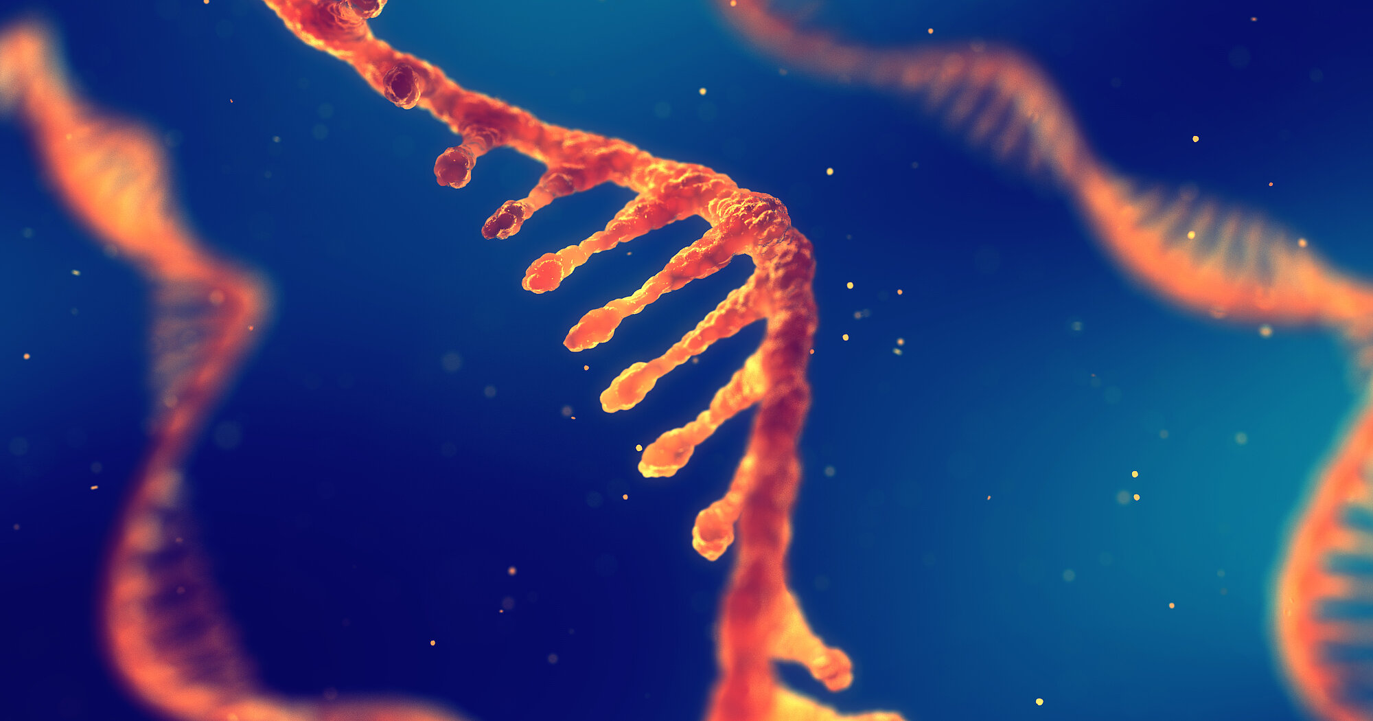 HZI | Info Center: RNA Biology