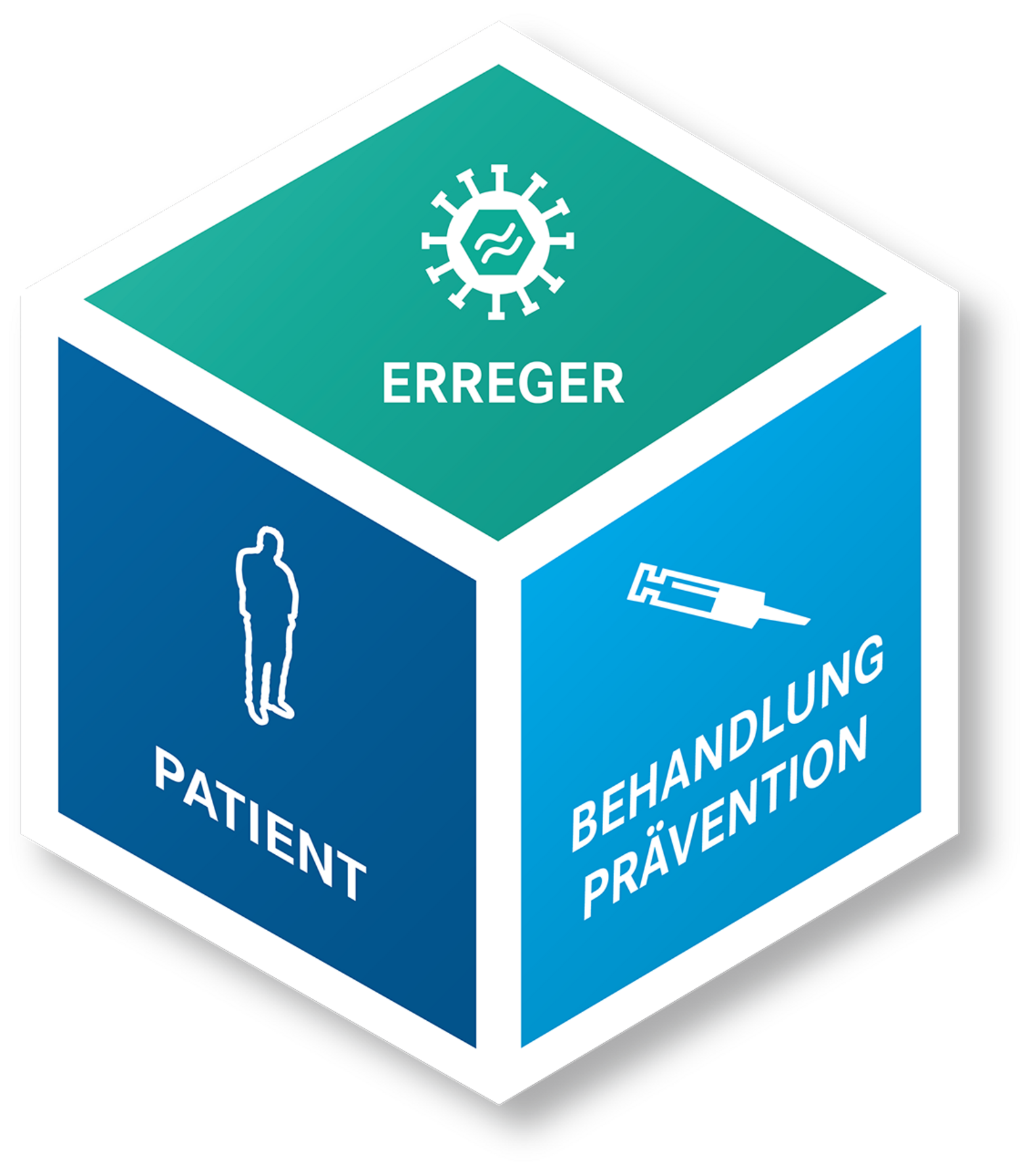 HZI | Forschungsprogramm HZI