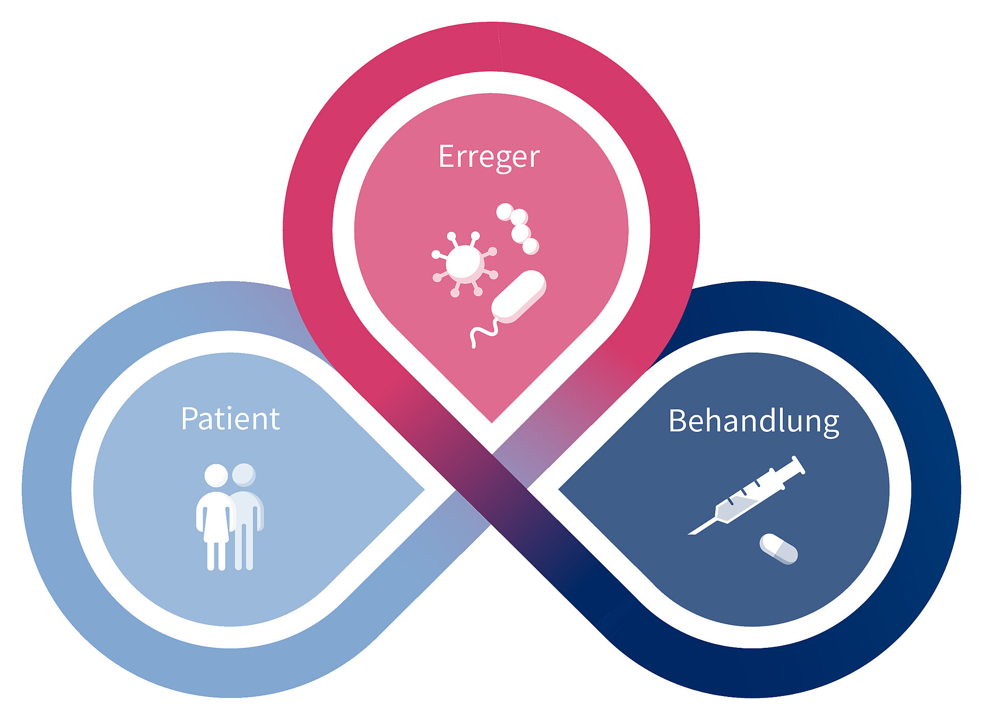 HZI | Forschungsprogramm HZI