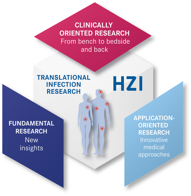 HZI | Our research