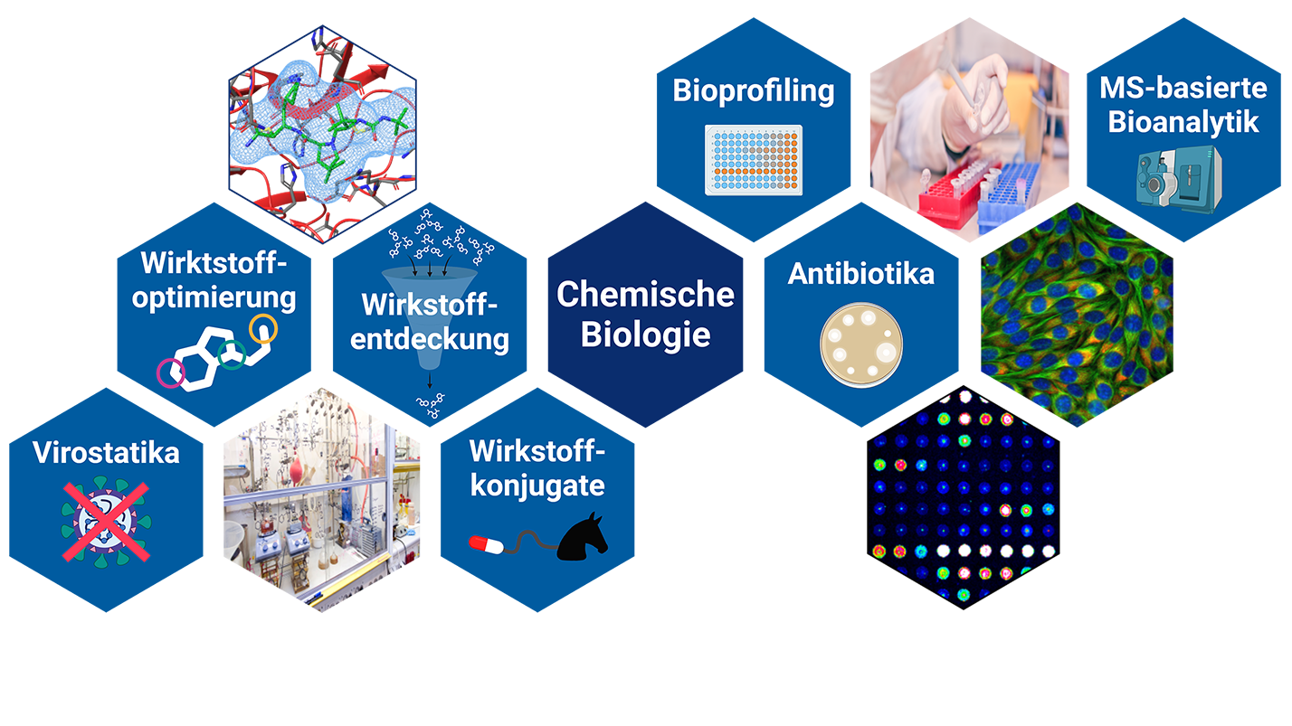 HZI | Chemische Biologie