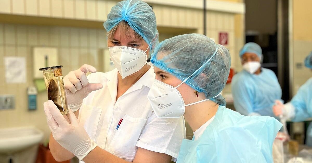 HZI | Tracing ancient pathogens in Vienna