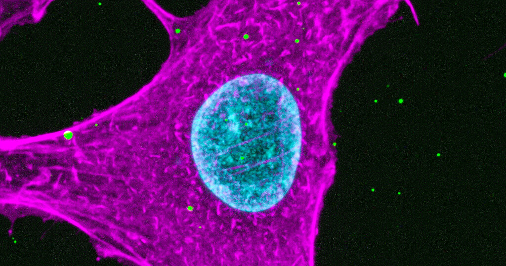 HZI | How influenza viruses communicate with cells