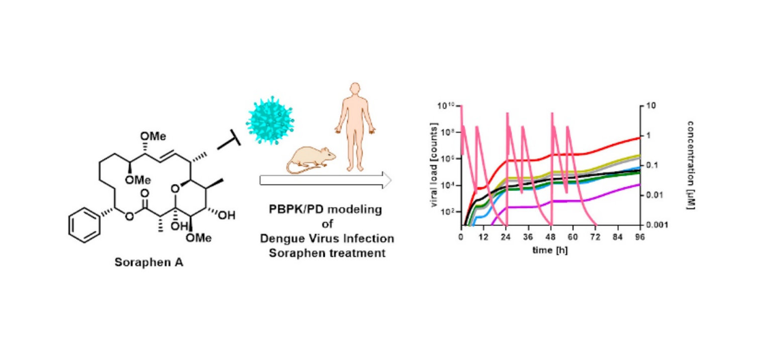 HZI | Research Groups at the HZI - Details
