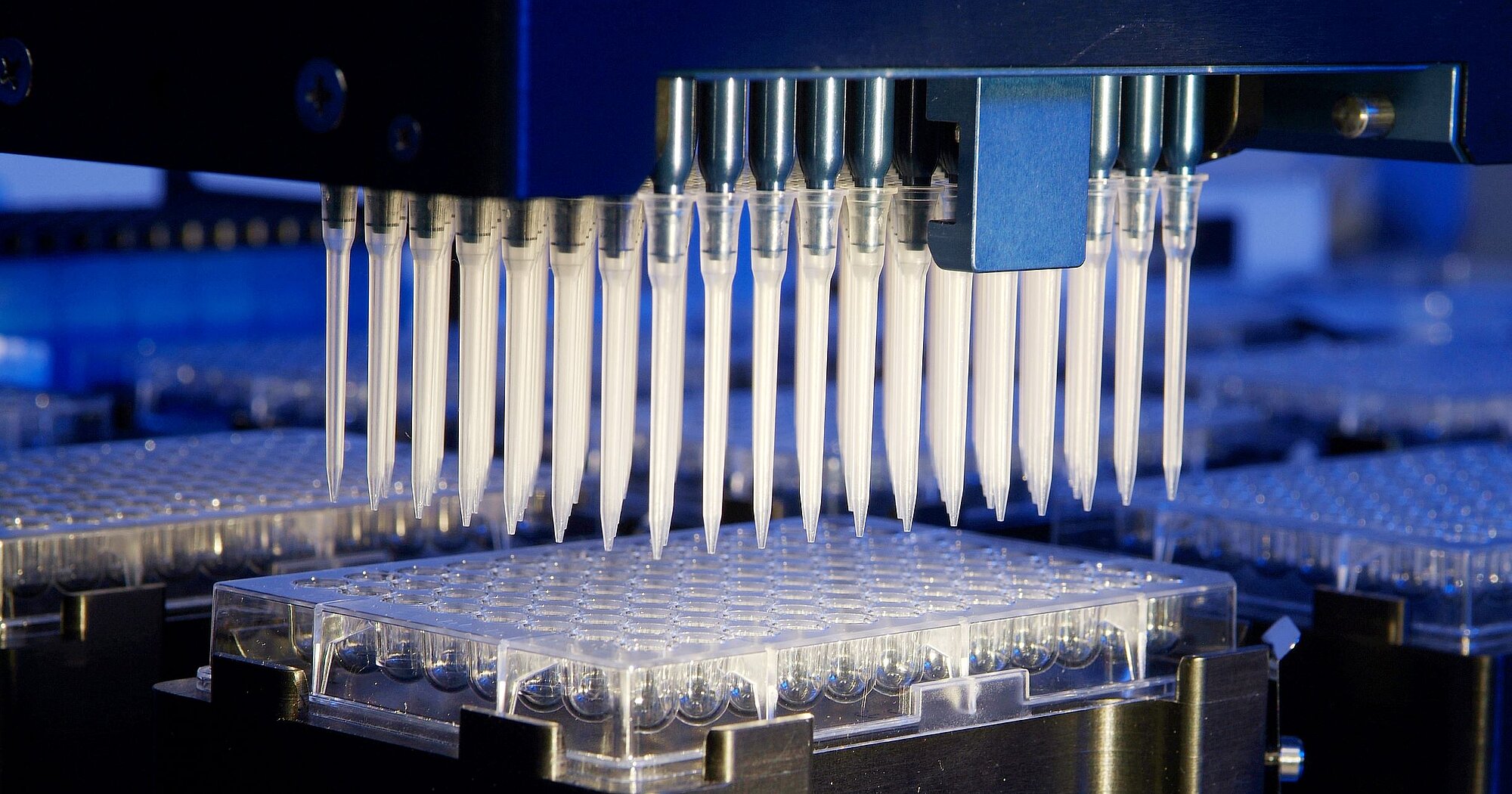 HZI | Systembiologie – hier geht’s ums Ganze