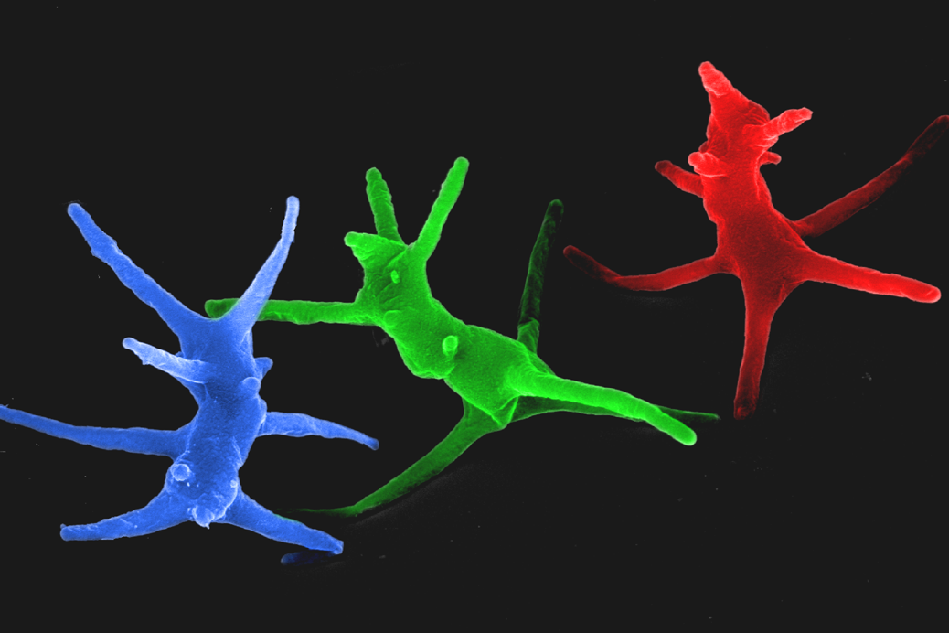 HZI | Wege ins Unbekannte