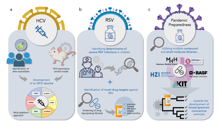HZI | Experimentelle Virologie