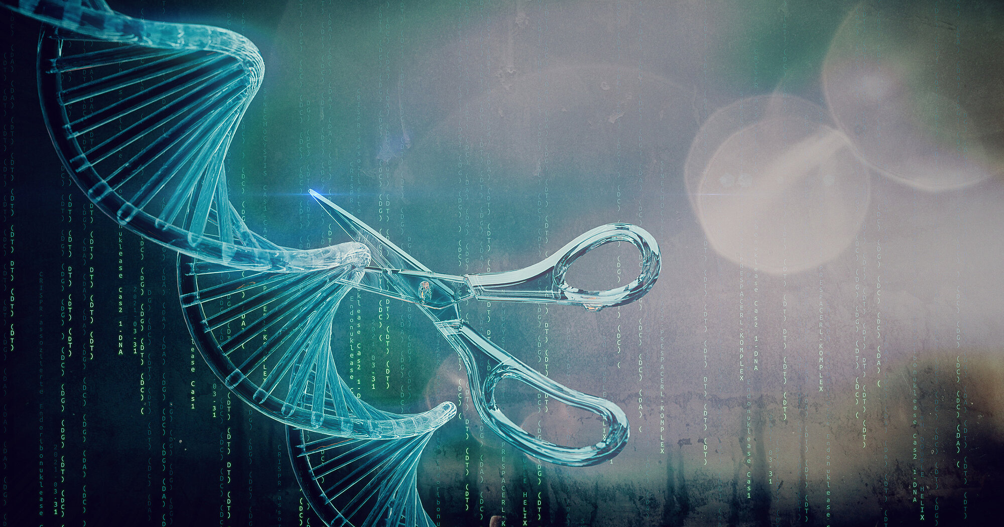 HZI | A new addition to the CRISPR toolbox: Teaching the gene scissors to detect RNA