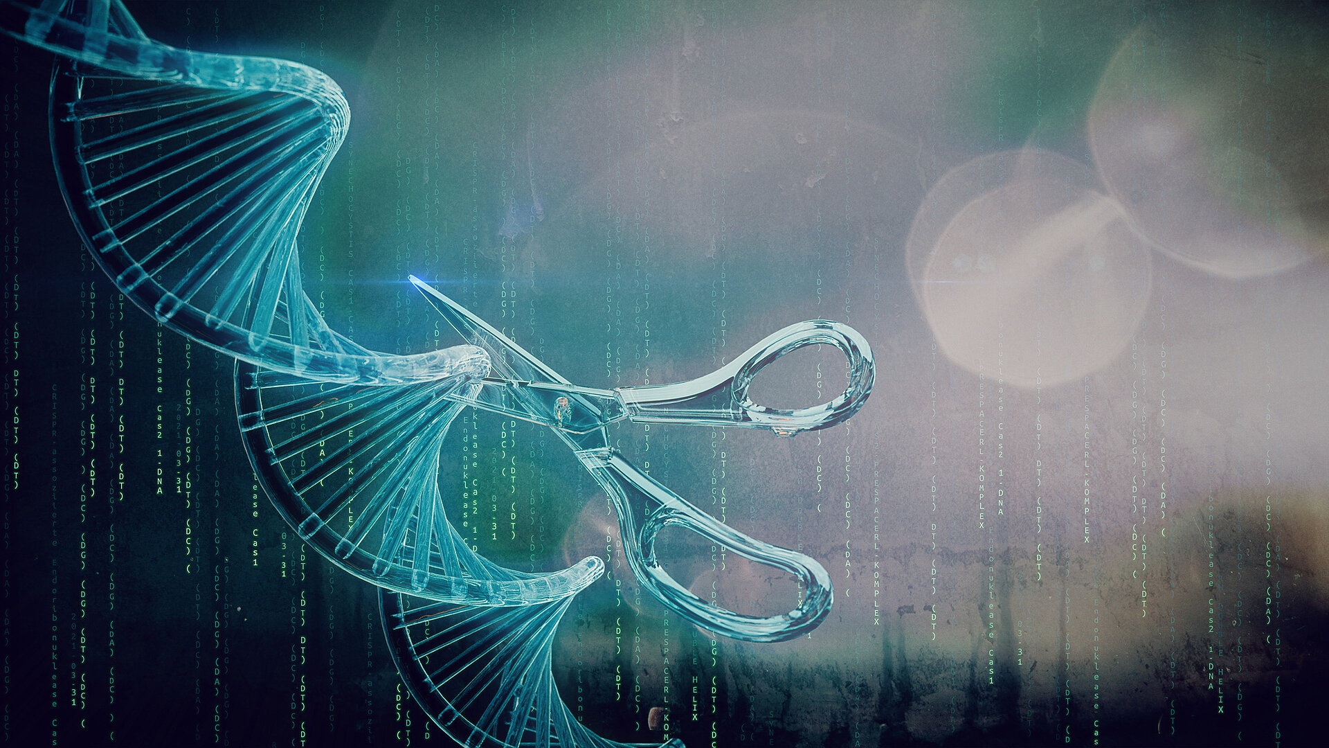 HZI | Info Center: RNA Biology