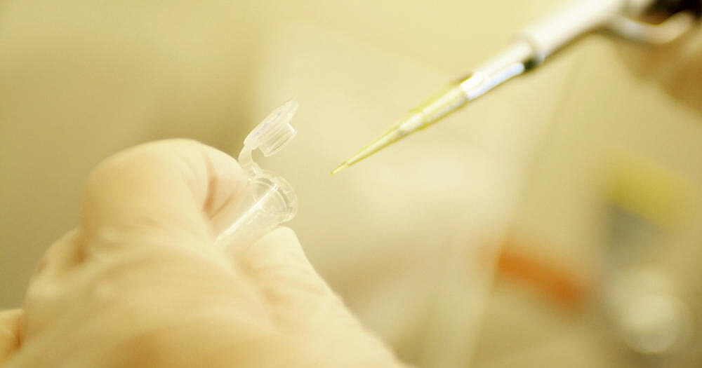 HZI | Translation – eine Brücke zwischen Laborbank und Klinik