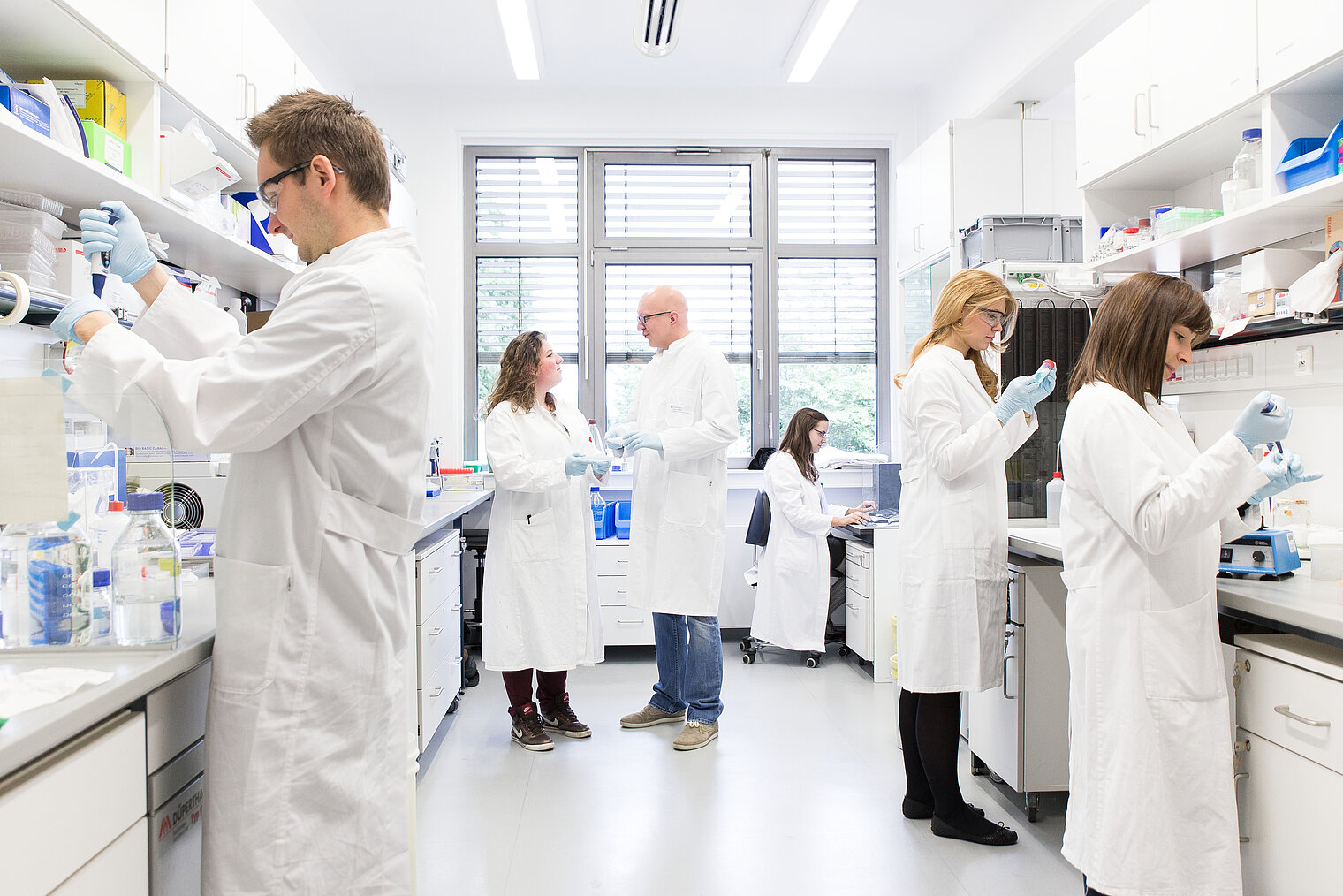 HZI | Pressematerial